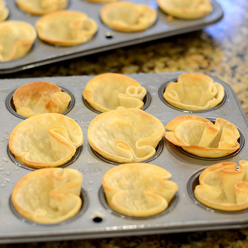 Salmon Won Ton Wraps - Feed Your Soul Too