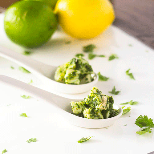 Green Chili Ceviche a la Rick Bayless - Feed Your Soul Too