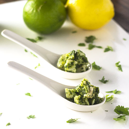 Green Chili Ceviche a la Rick Bayless - Feed Your Soul Too
